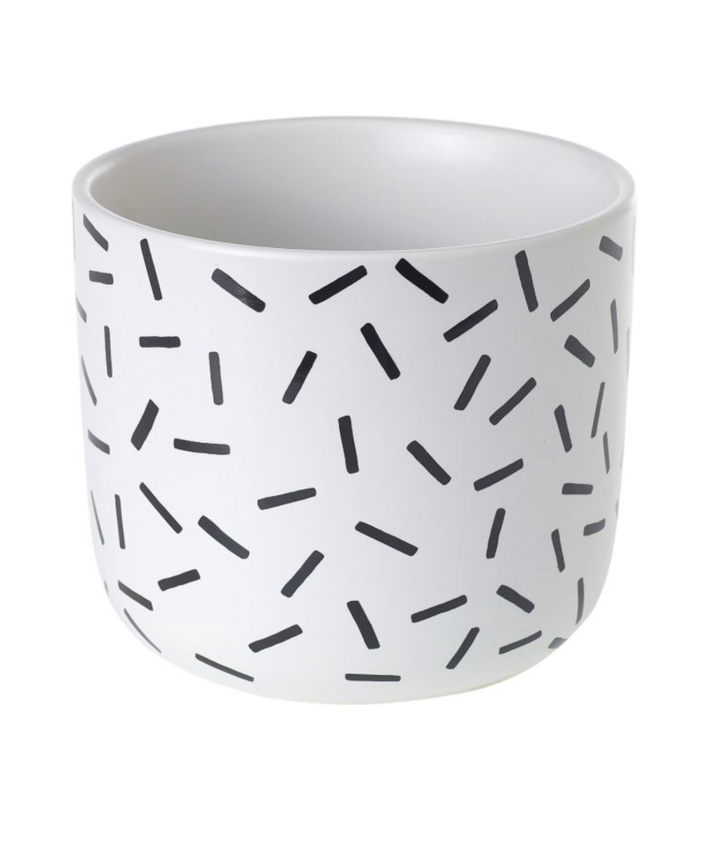 Sprinkle Pot – Baton Rouge Succulent Co