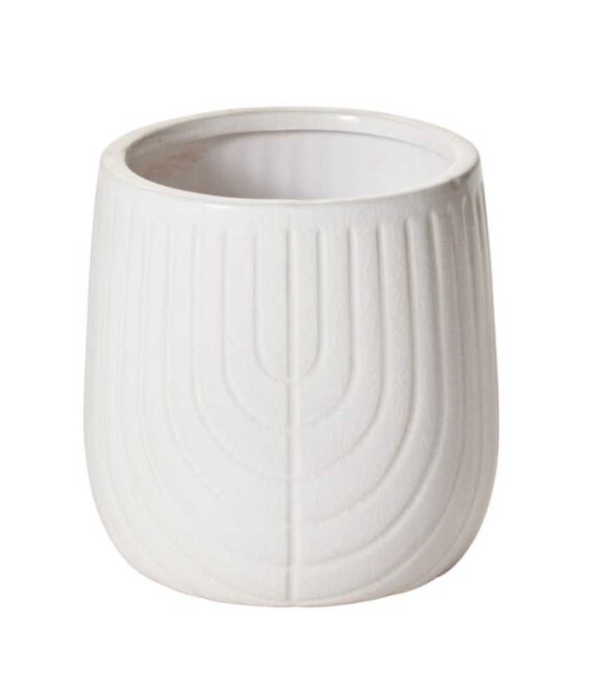 Coranado Pot – Baton Rouge Succulent Co