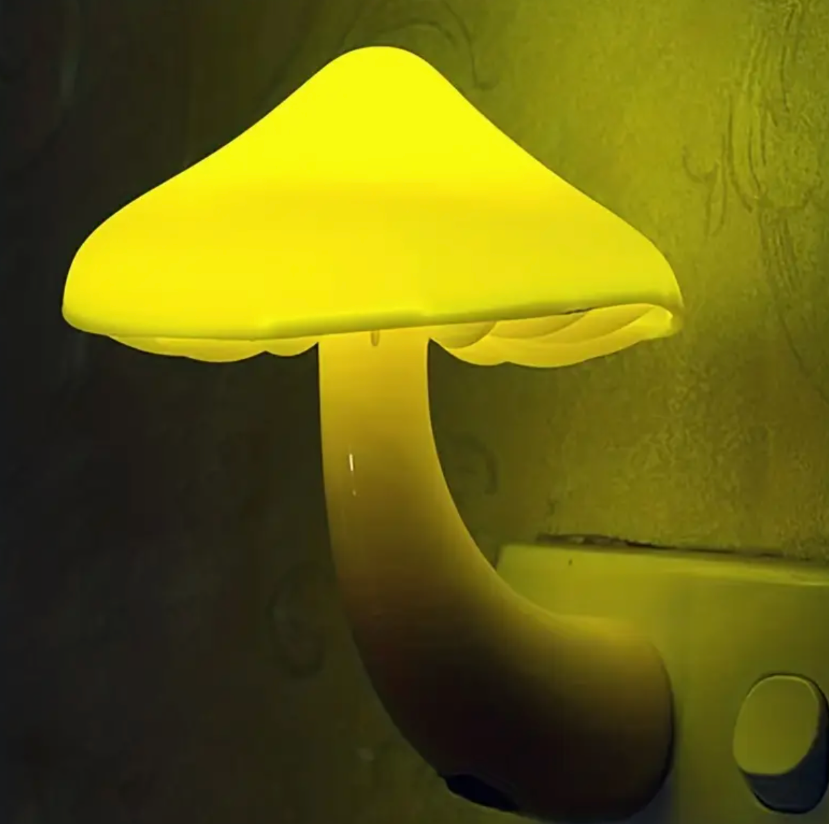 Mushroom Night Light – Baton Rouge Succulent Co
