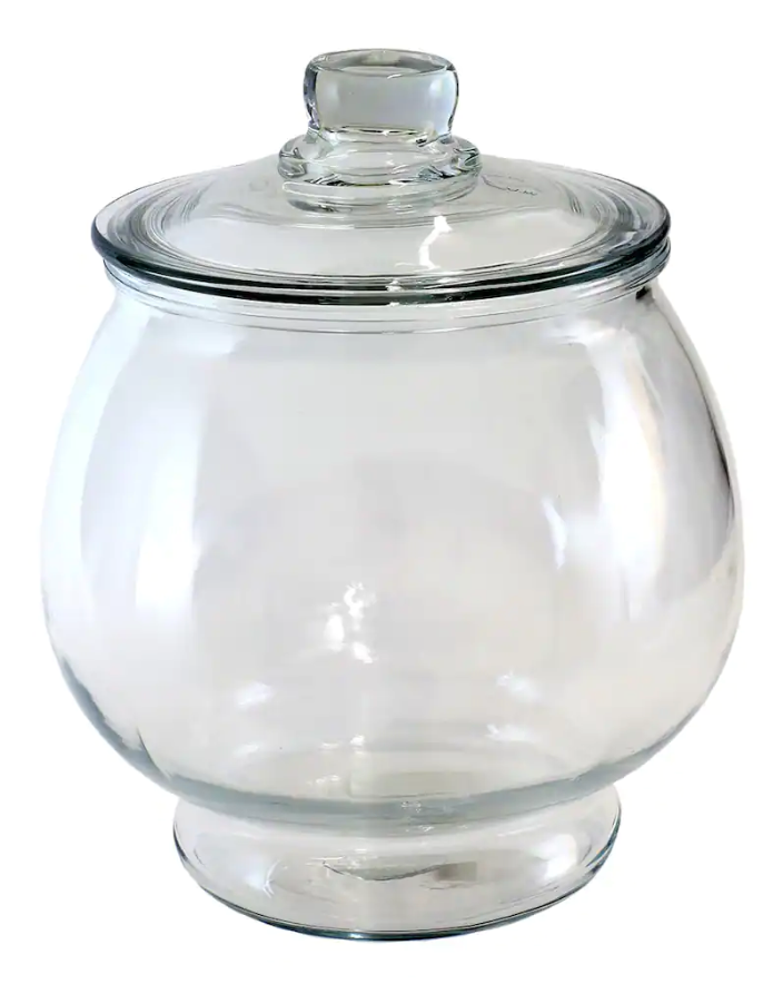 Glass Lid Terrarium – Baton Rouge Succulent Co